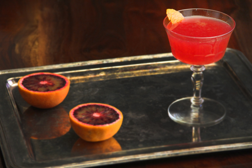 Blood Orange Cocktail with Gin or Bourbon - SippitySup