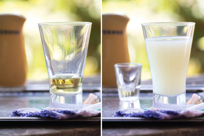 How to Drink Pastis Like the French - SippitySup