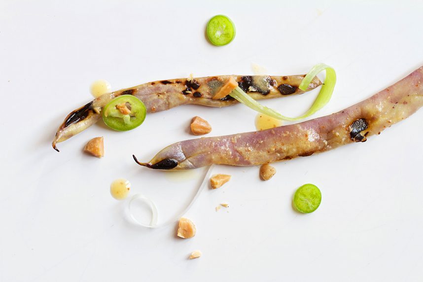 Dragon's Tongue Beans: Charred and Chilled - SippitySup