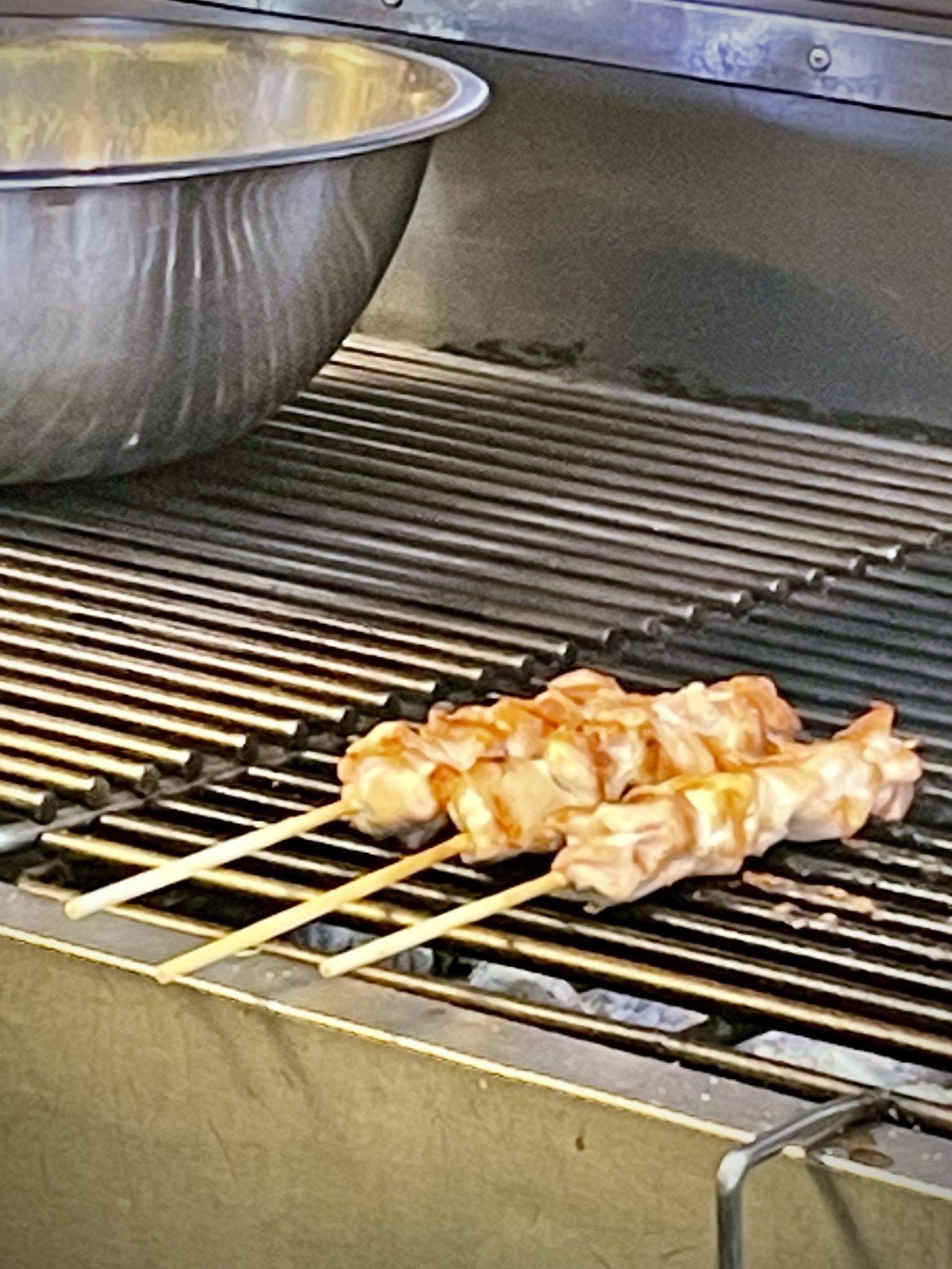 Souvlaki or Gyros: I Won't Make That Mistake Again - SippitySup